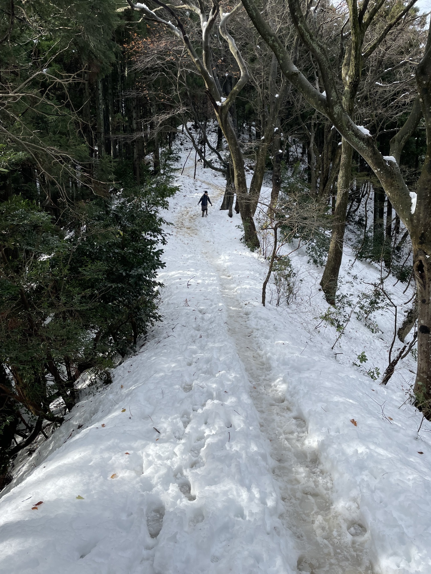 冬の晴れ間に文殊山（365m）: JA9LSZ Blog