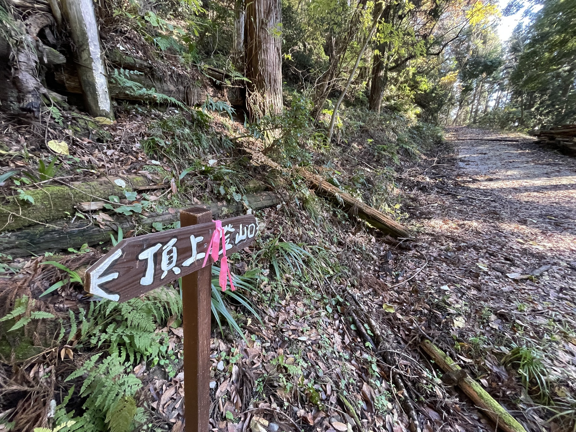 低山山歩 乙坂山（290m）: JA9LSZ Blog