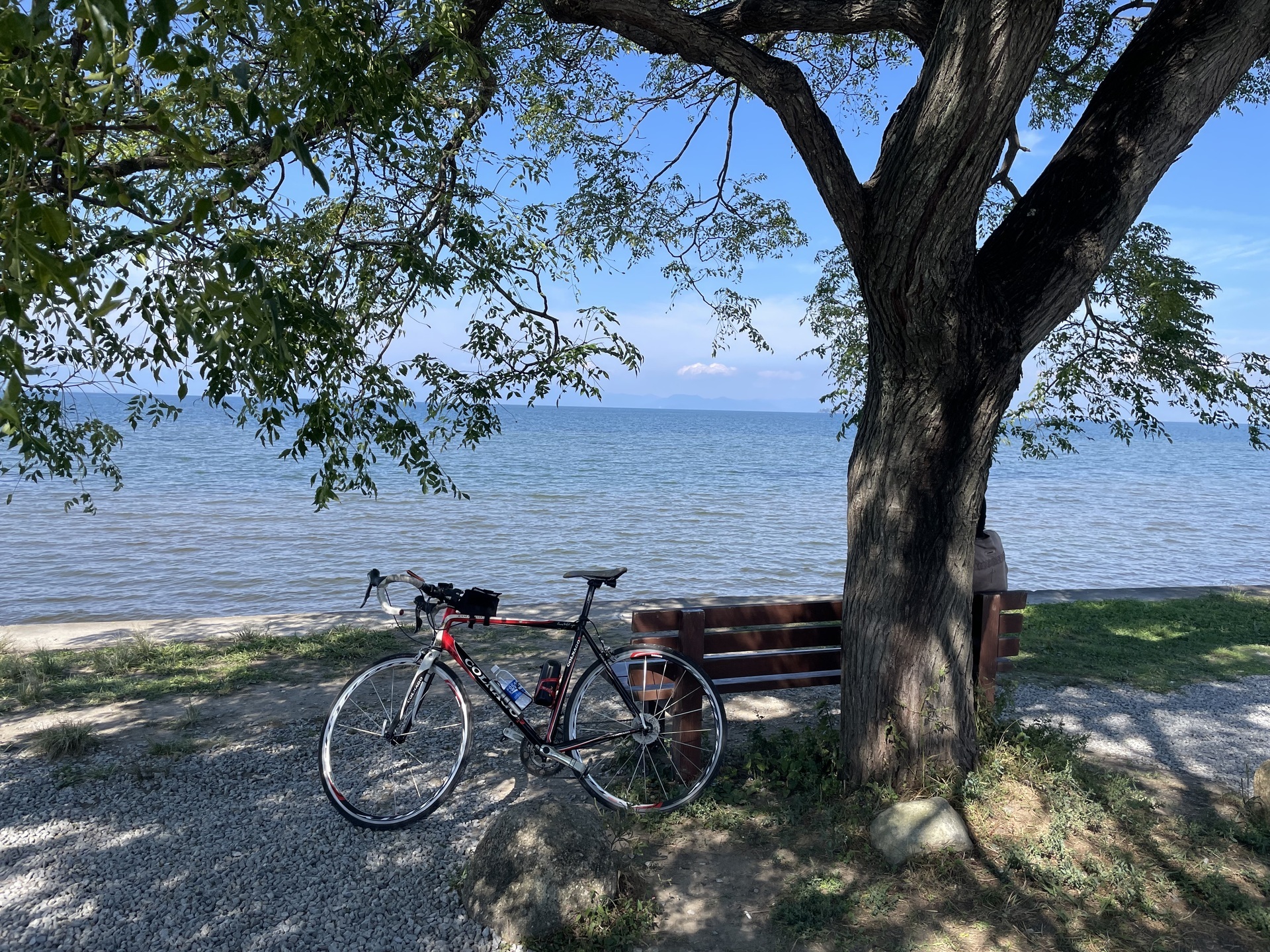 秋のビワイチ 146Km走破！: JA9LSZ Blog